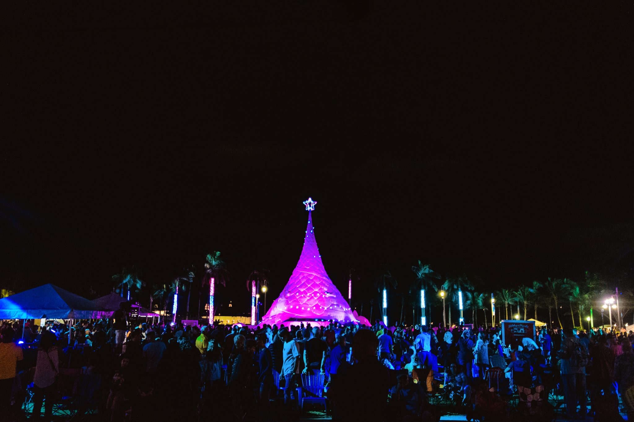 Celebrate the 2020 Holidays with Sandi in West Palm Beach • Christina ...