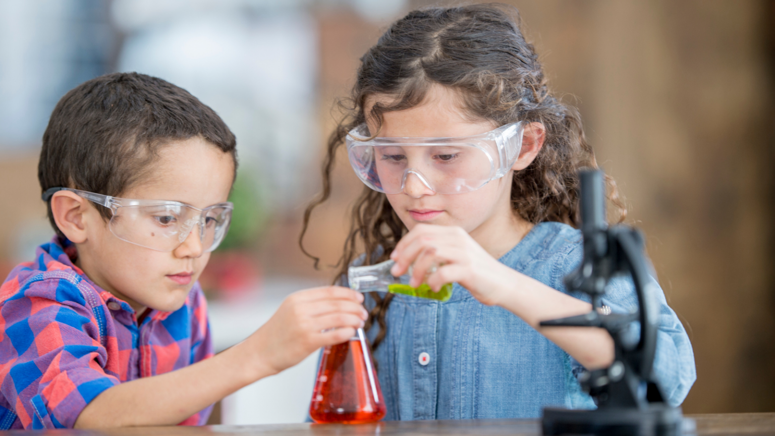 Wellington Summer Camps for Kids 2021 • Christina All Day