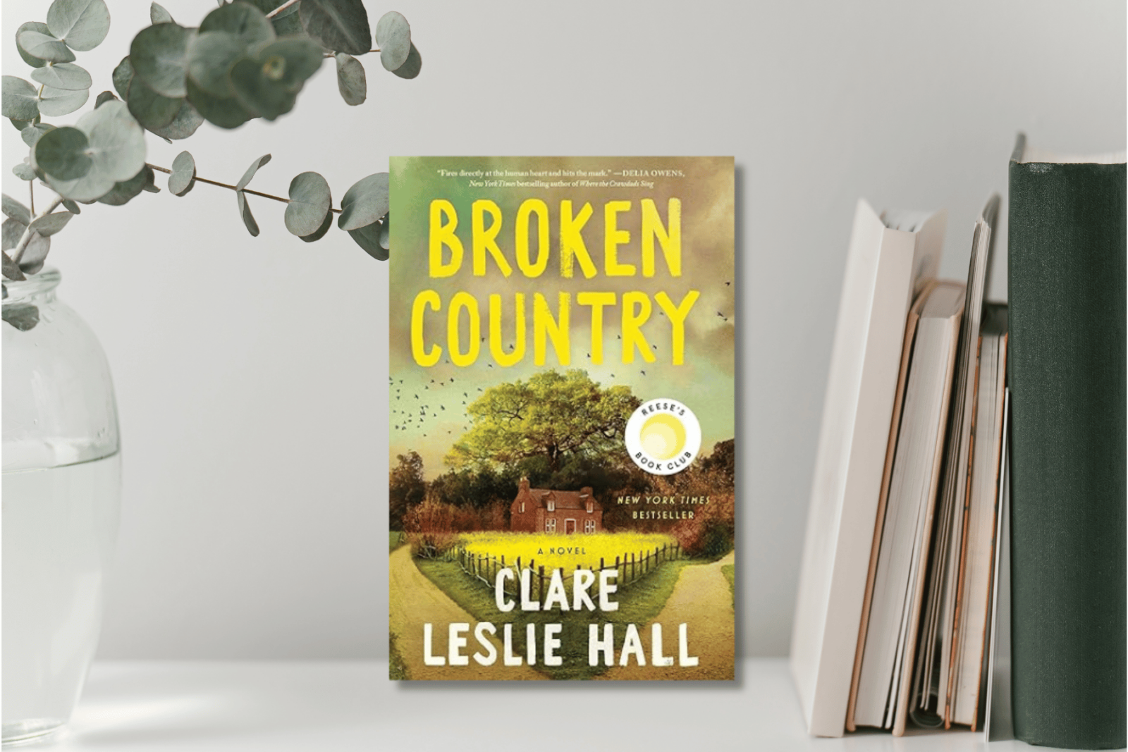 Broken Country Book Summary and Review • Christina All Day
