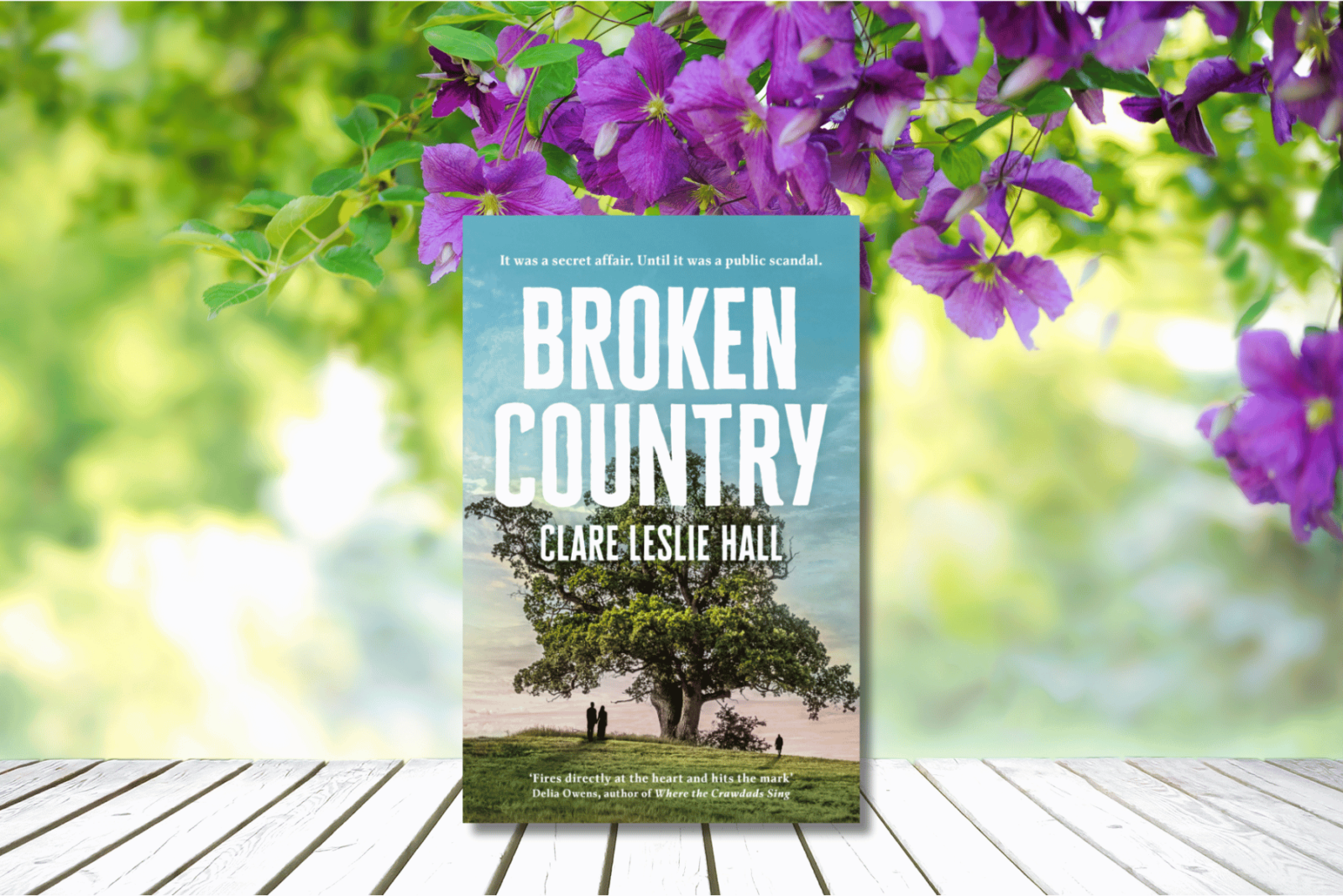 Broken Country Book Summary and Review • Christina All Day