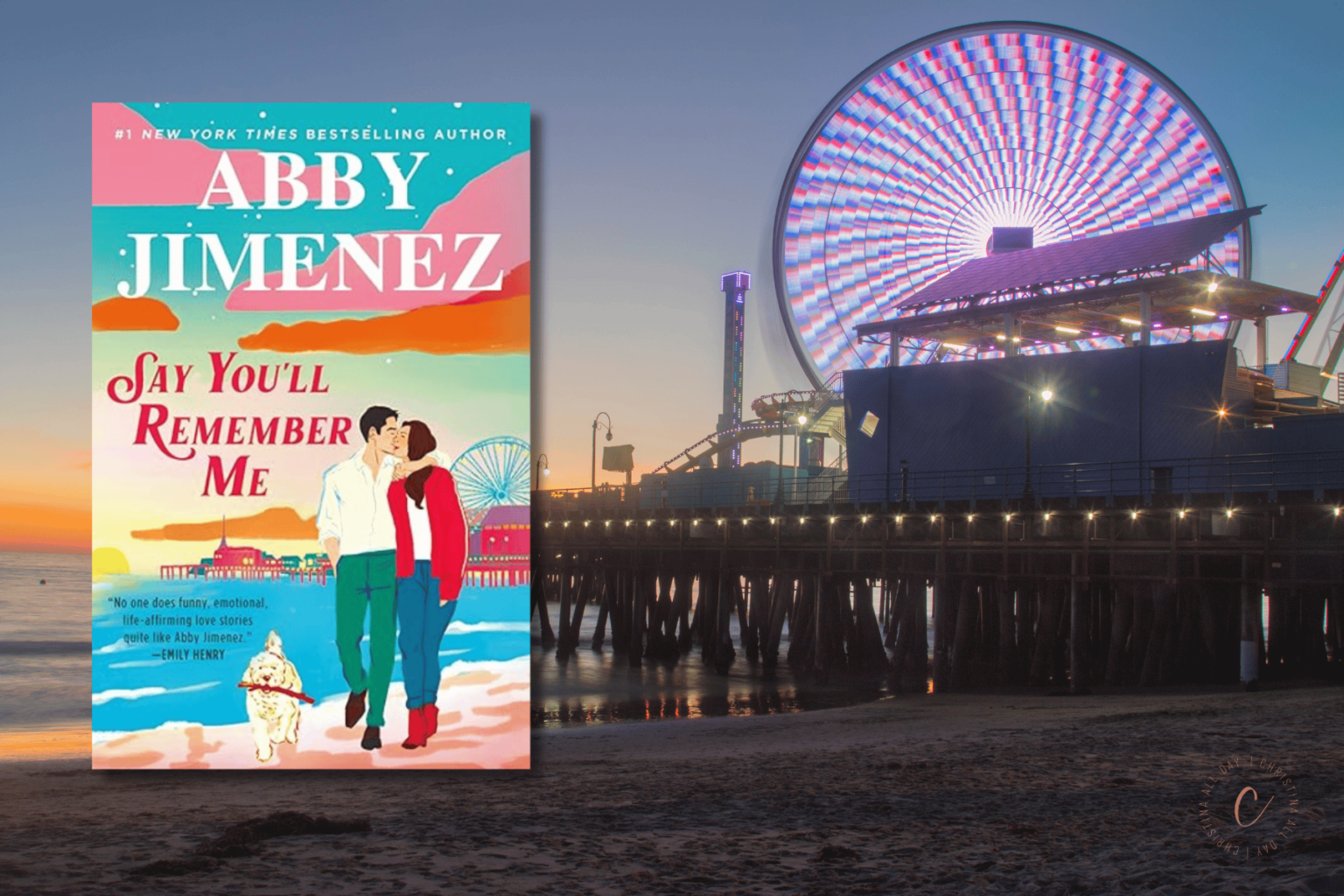 Say You'll Remember Me Book Summary and Review • Christina All Day